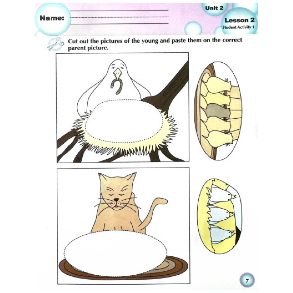 Health Curriculum For 1st Grade