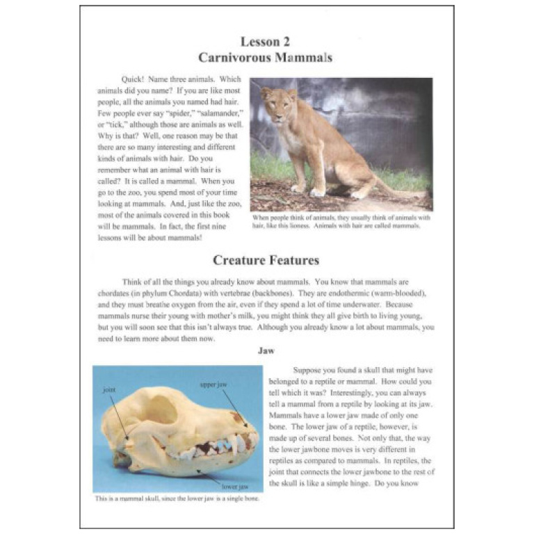 Zoology 3 Land Animals Of The Sixth Day