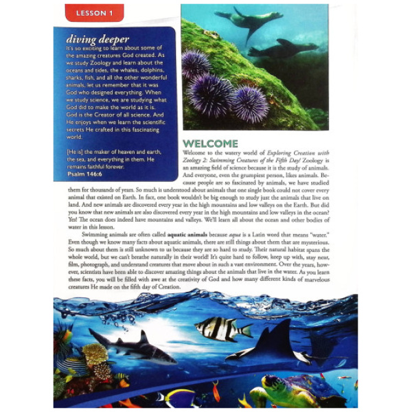 Apologia - Exploring Creation With Zoology 2 Swimming Creatures Of The ...